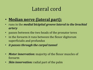 2Upper limb anatomy part 2 for first and second year medical students.pdf