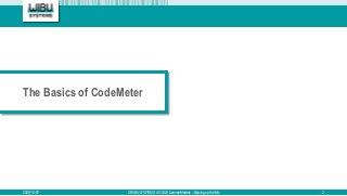 Software License Models - Spicing up the Mix | PPT