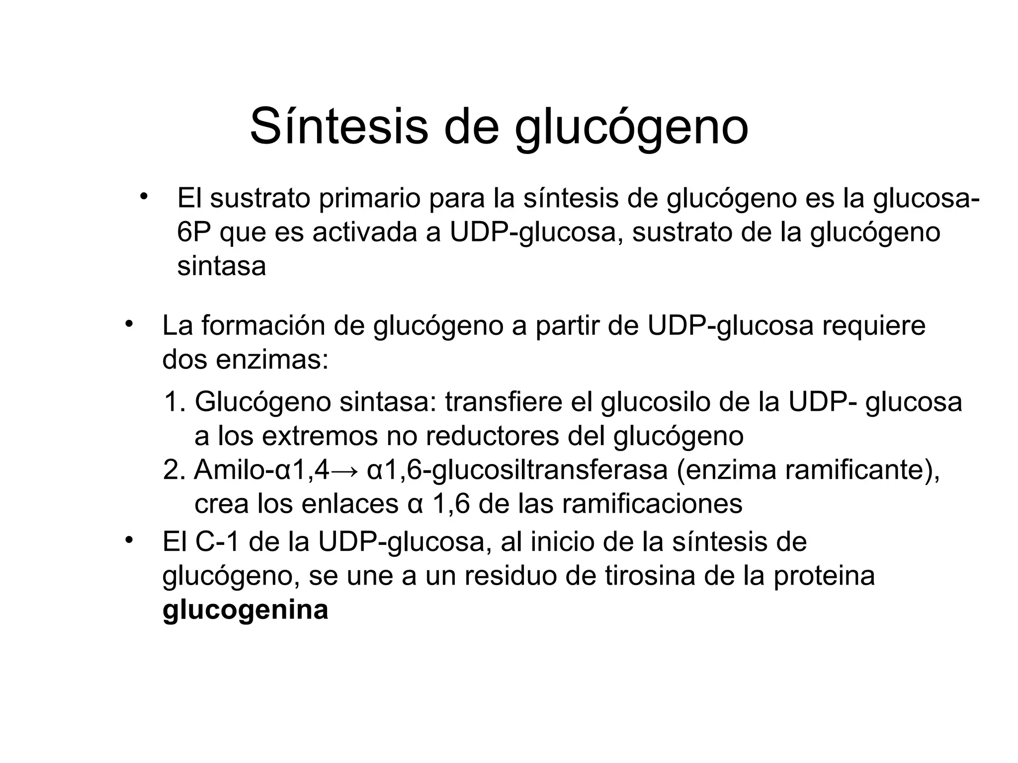 2020 141 Metabolismo del glucogeno. pdf. | PPT