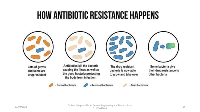 drugs - antibiotics | PPTX
