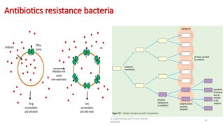 drugs - antibiotics | PPTX