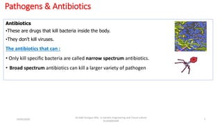drugs - antibiotics | PPTX