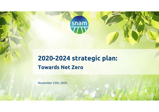 2020-2024 strategic plan: Towards Net Zero | PDF