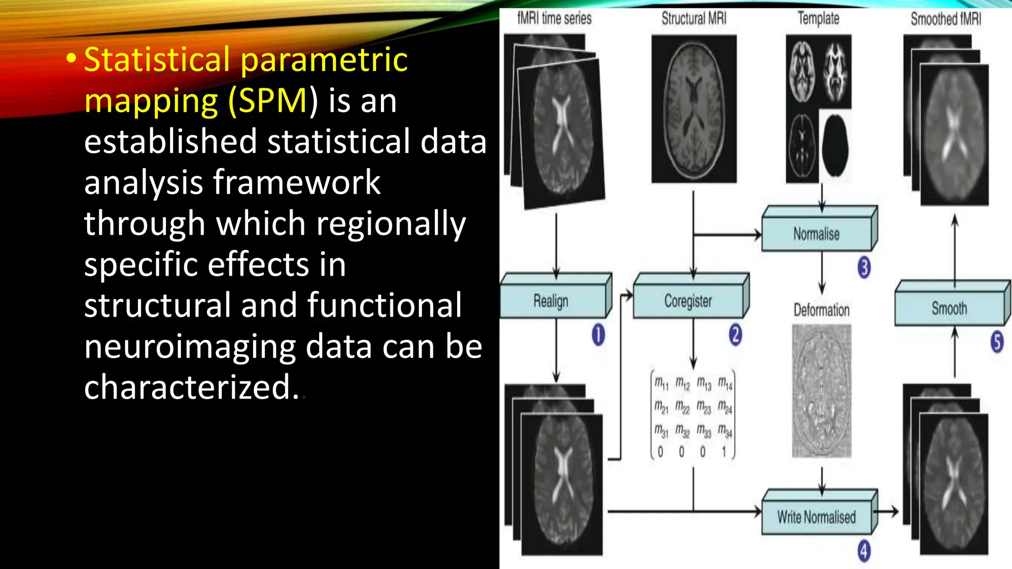 FMRI_DATA_ANALYSIS_REPORT_AND_PREPROCESSING_STEPS .pptx