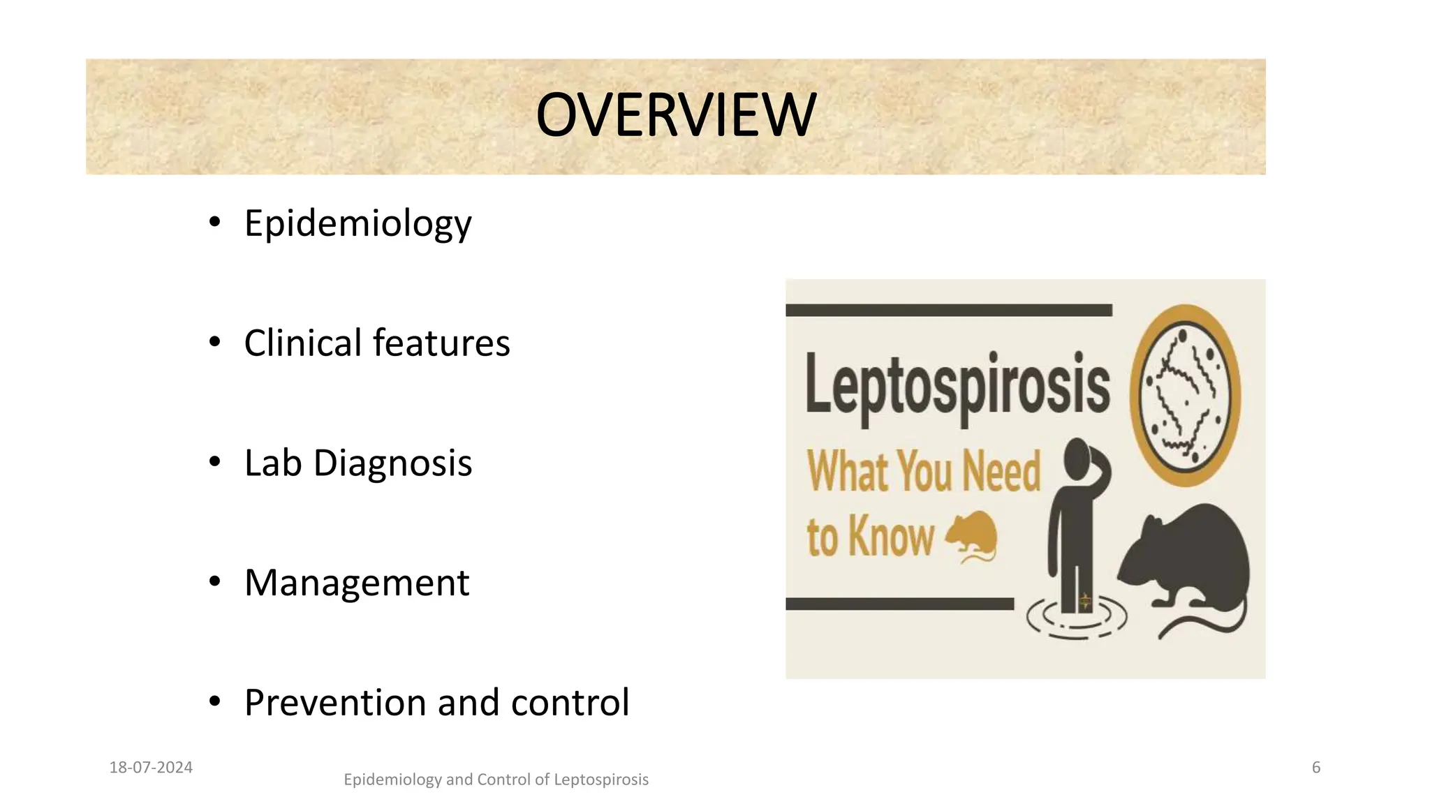leptospirosis; epidemiology, prevention and control | PPTX