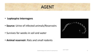leptospirosis; epidemiology, prevention and control | PPTX