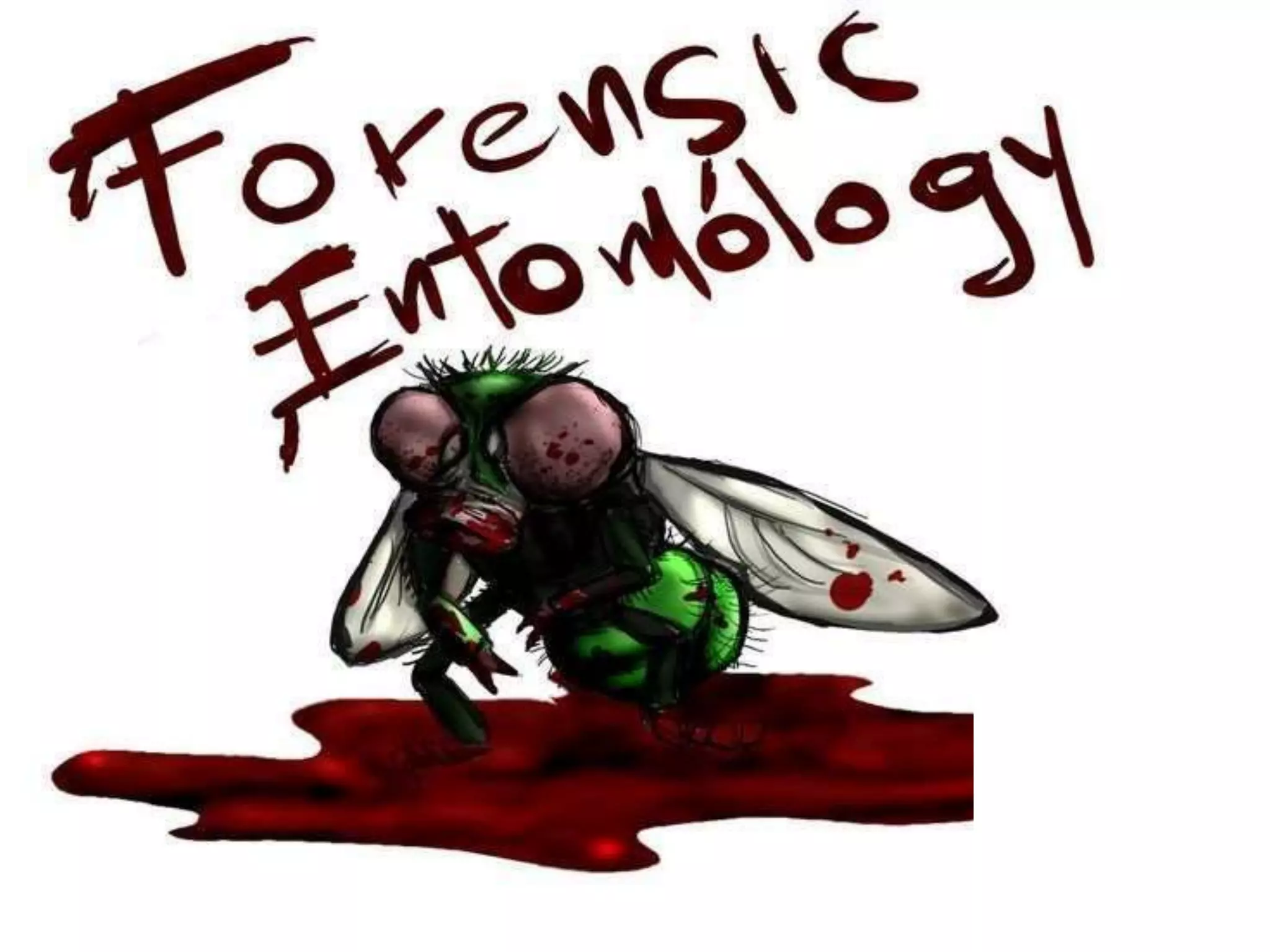 Forensic entomology | PPTX