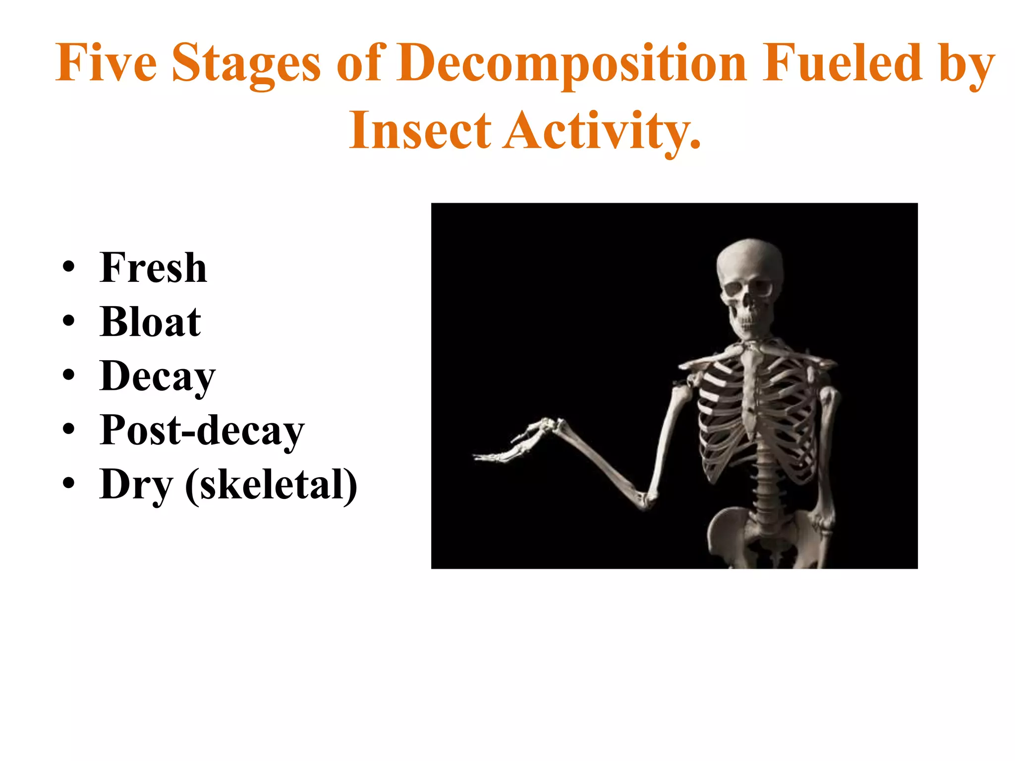 Forensic entomology | PPTX