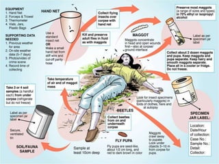 Forensic entomology | PPTX