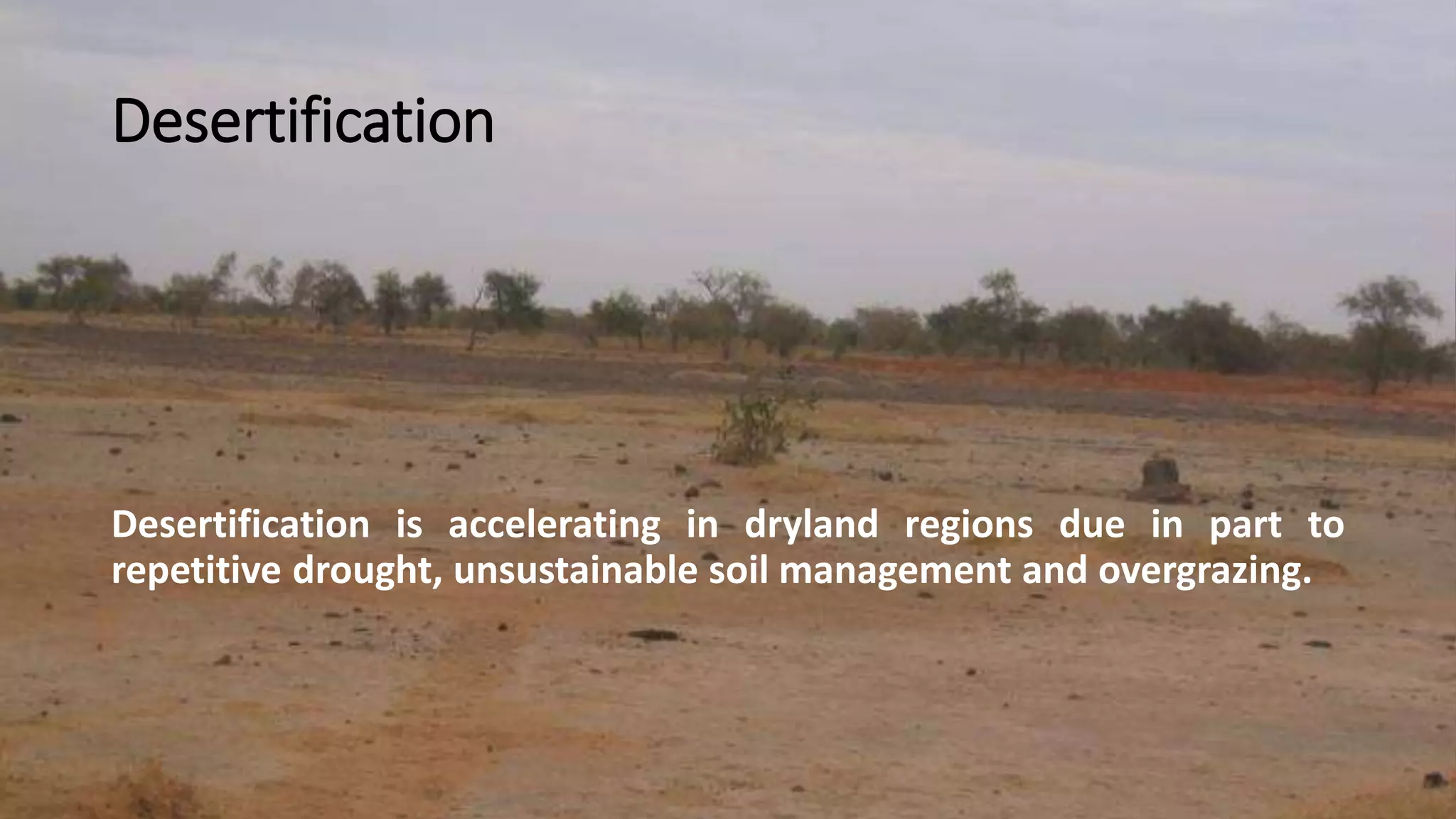 DRYLAND AGRICULTURE - CURRENT STATUS AND CHALLENGES | PPTX