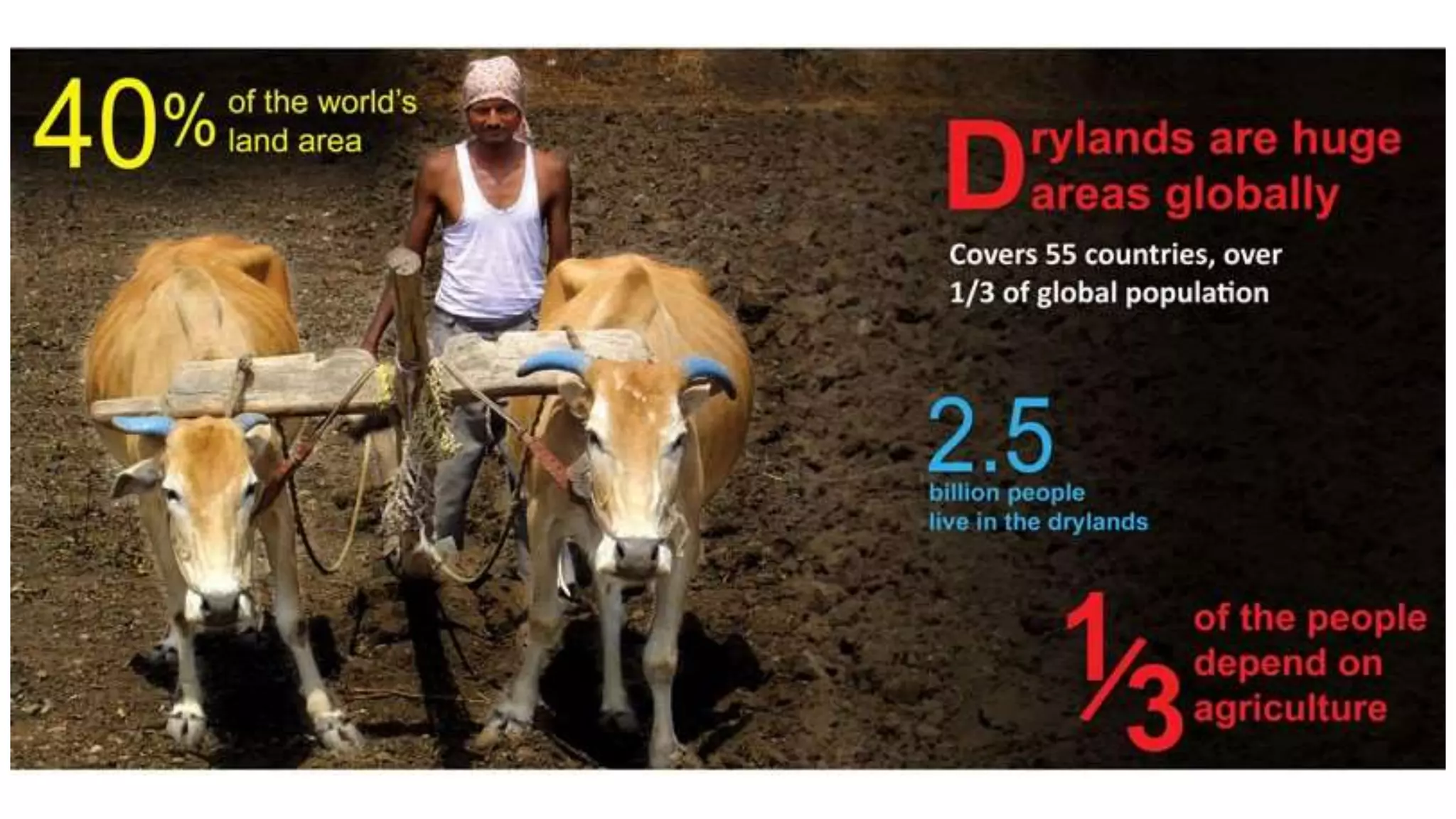 DRYLAND AGRICULTURE - CURRENT STATUS AND CHALLENGES | PPTX