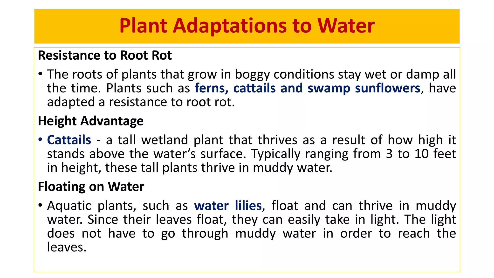 CROP ADAPTATIONS AND ITS ECOLOGY.pptx