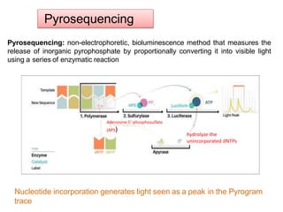Sequence based Markers | PPTX