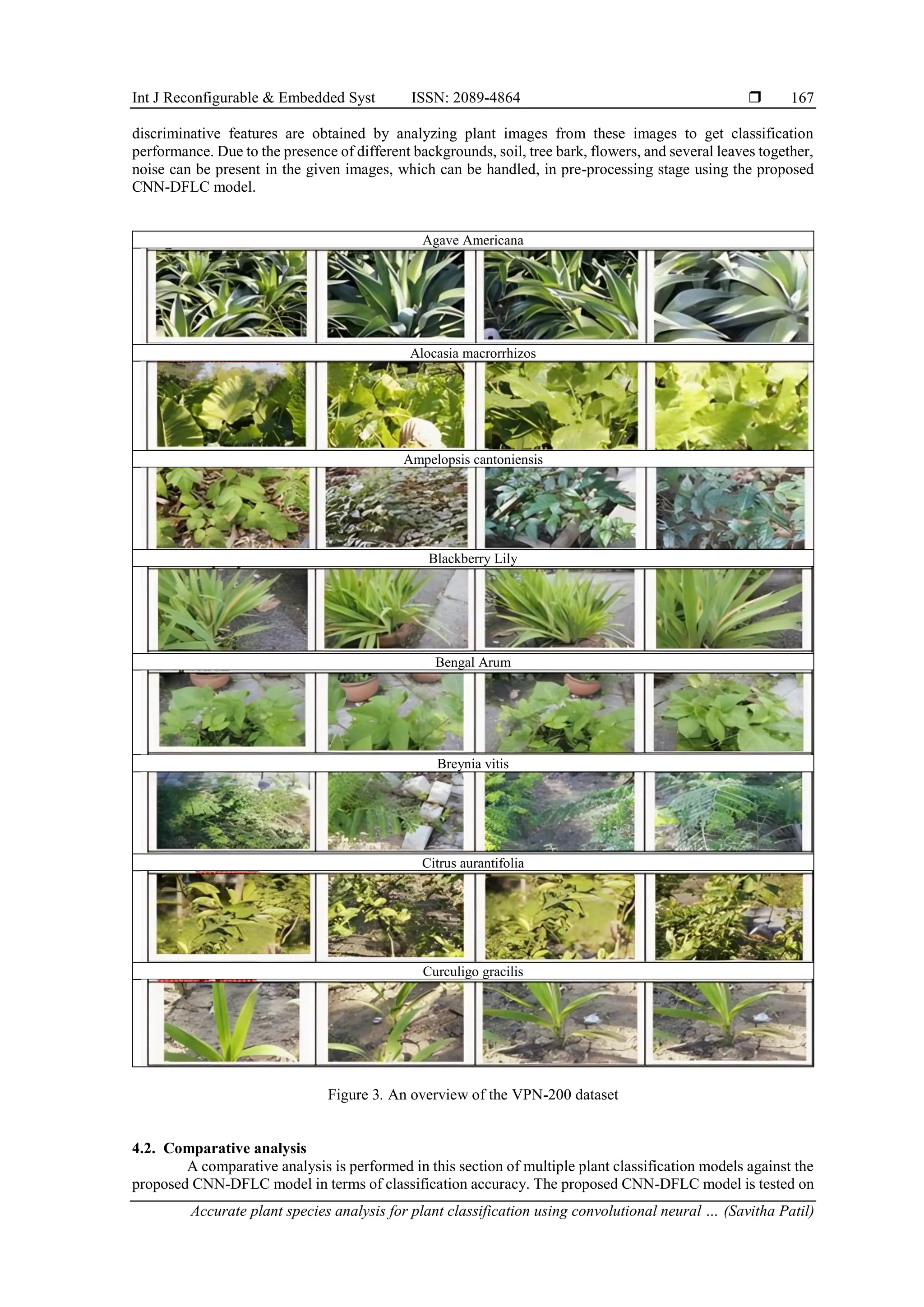 Accurate plant species analysis for plant classification using convolutional neural network ...