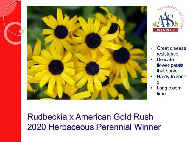 2020 AAS Winners | PPT