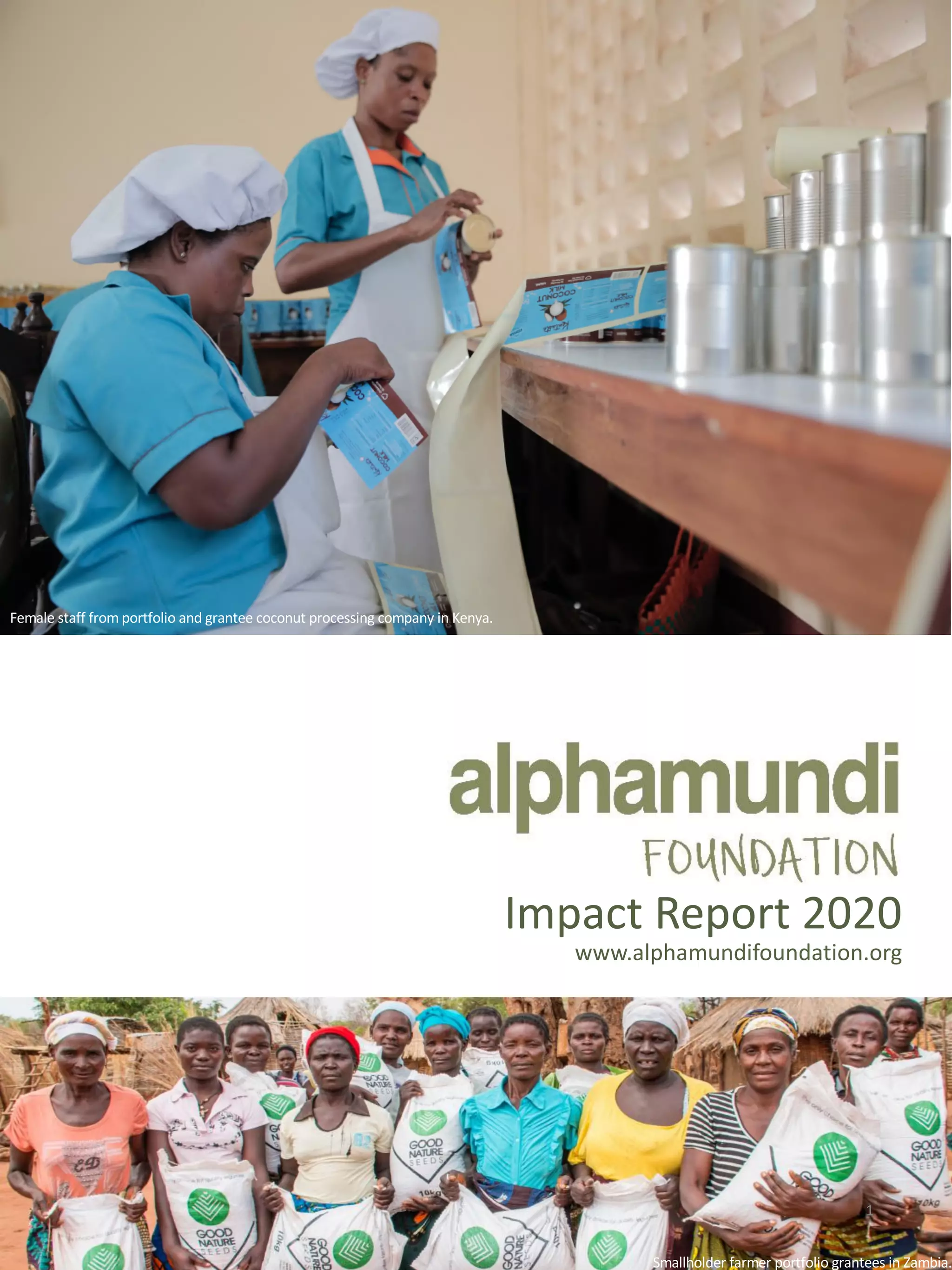2020 amf impact report | PDF