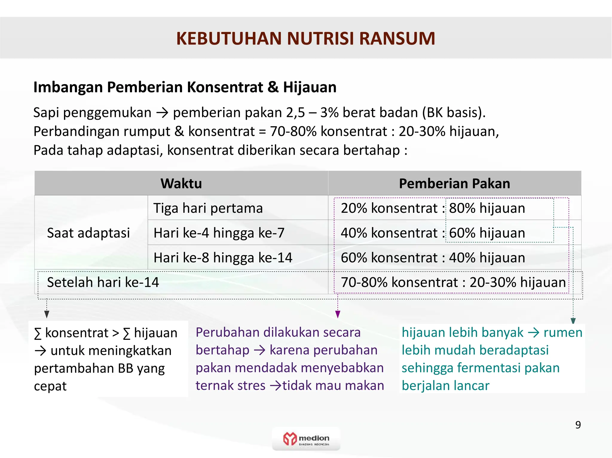 Kebutuhan Nutrisi Sapi sesuai dengan kondisi saat ini | PDF