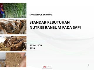 Kebutuhan Nutrisi Sapi sesuai dengan kondisi saat ini | PPT