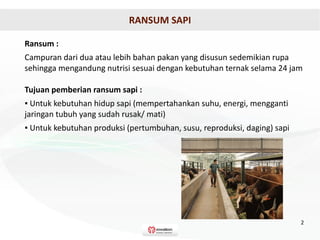 Kebutuhan Nutrisi Sapi sesuai dengan kondisi saat ini | PDF