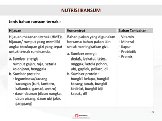 Kebutuhan Nutrisi Sapi sesuai dengan kondisi saat ini | PDF