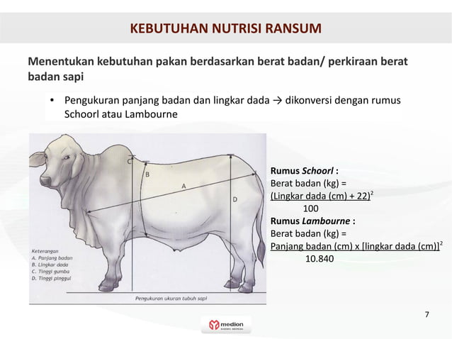 Kebutuhan Nutrisi Sapi sesuai dengan kondisi saat ini | PPT