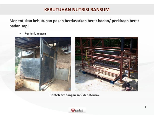 Kebutuhan Nutrisi Sapi sesuai dengan kondisi saat ini | PDF