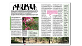 Classroom Documentation: Making Learning Visible | PPTX