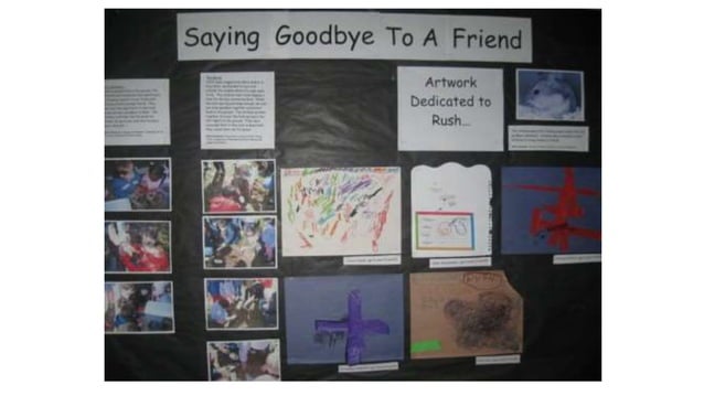 Classroom Documentation: Making Learning Visible | PPT