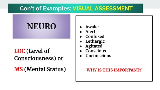 Overview and Preparation for the 2020 Clinical Simulation Exam (CSE ...