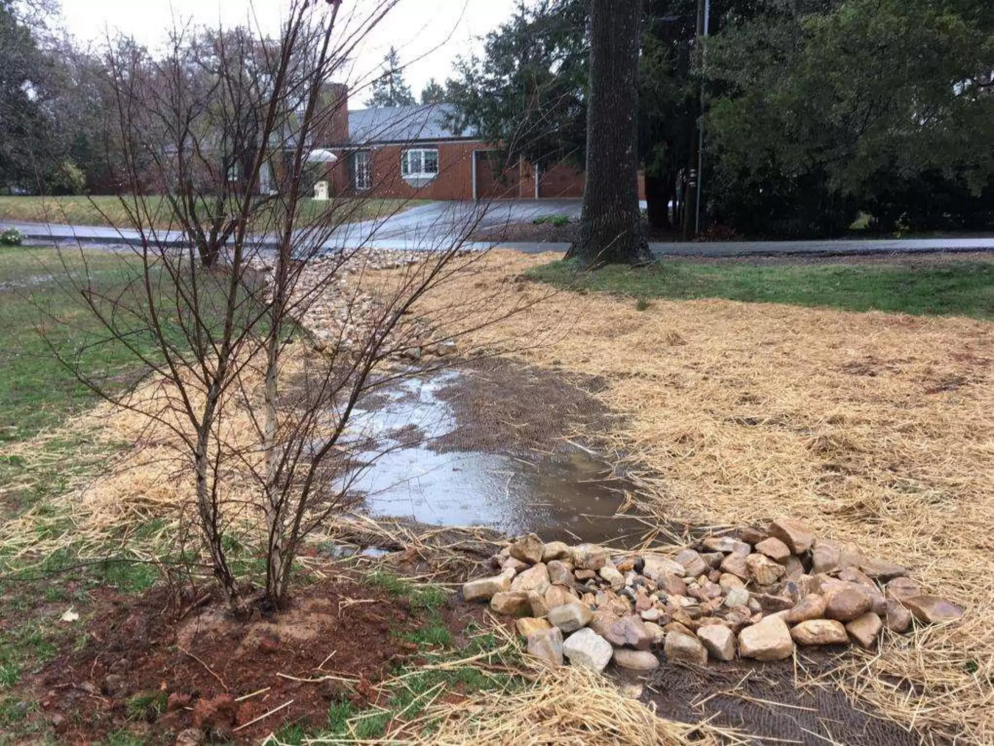 Capturing the Rain: Example BMPs & Tips for HOAs | PPTX | Landscaping ...