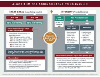 2020 diabetes algorithm-slides | PPTX
