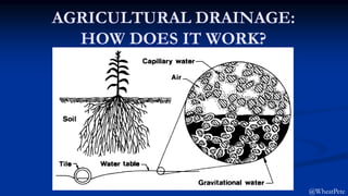 14. Understanding drainage Do’s and Don’ts | PDF