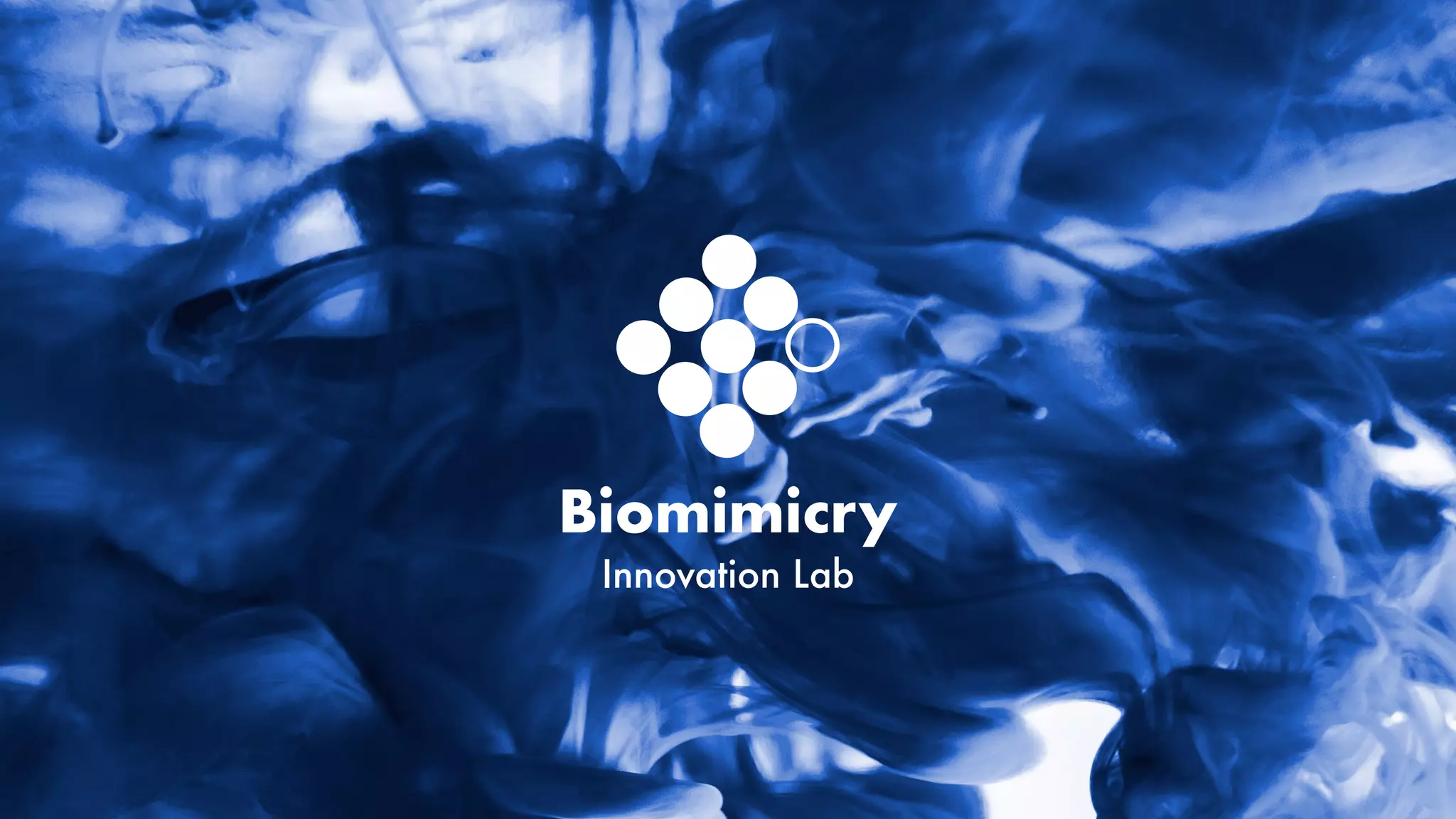 The Future of Sustainability - Biomimicry and Regenerative Design | PPT