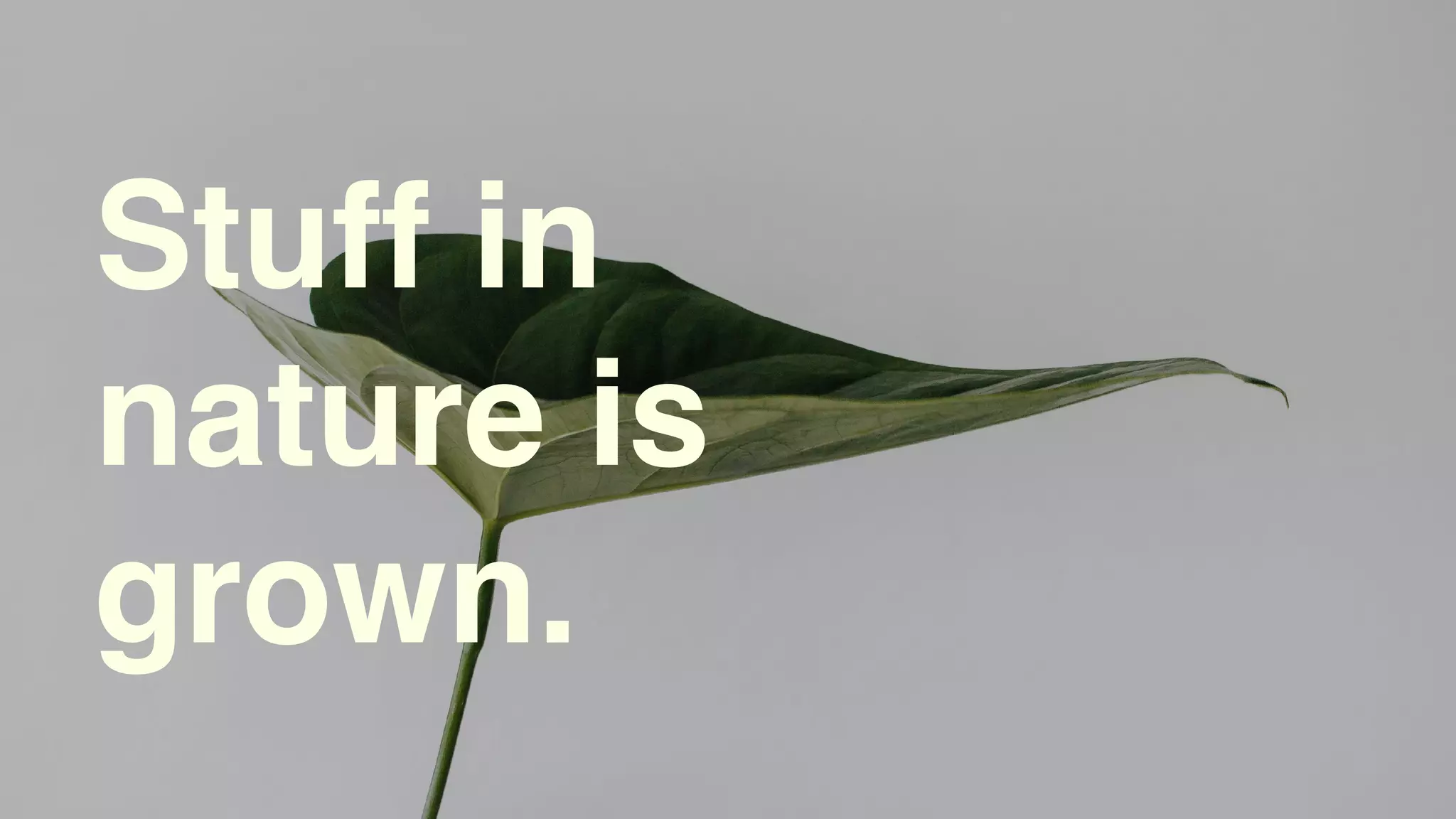 The Future of Sustainability - Biomimicry and Regenerative Design | PPT ...