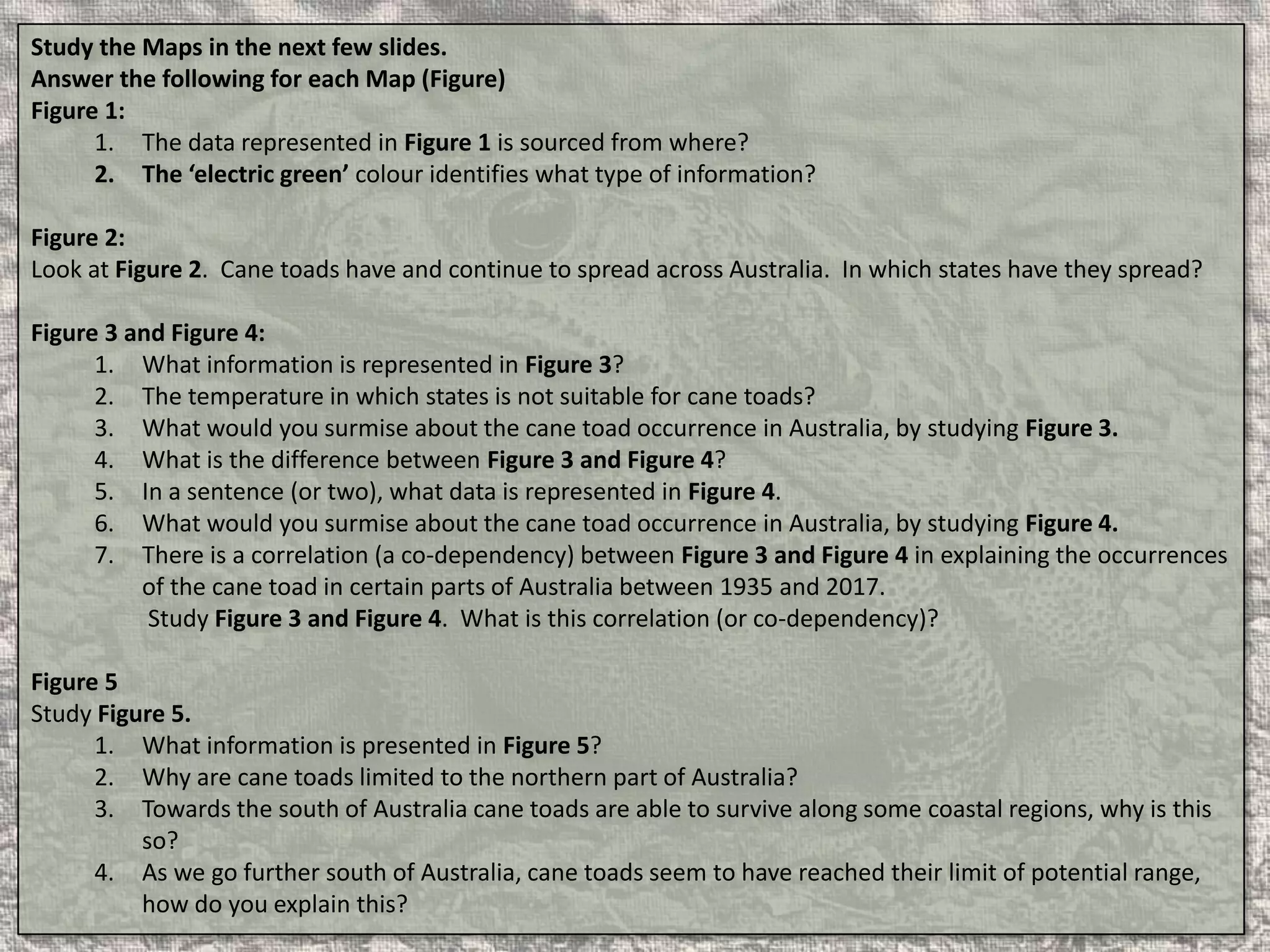 The Cane Toad: Saviour or Menace? | PPTX