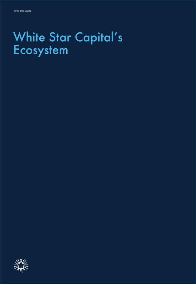 White Star Capital Germany Venture Capital Landscape 2020 | PDF