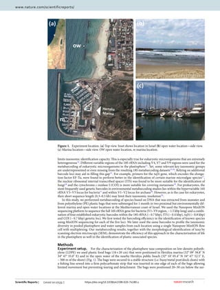 2020 Identification of plastic-associated species in the Mediterranean ...