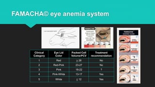 Famacha Eye Color Test – Famacha Test For Sheep – Limmerkoll