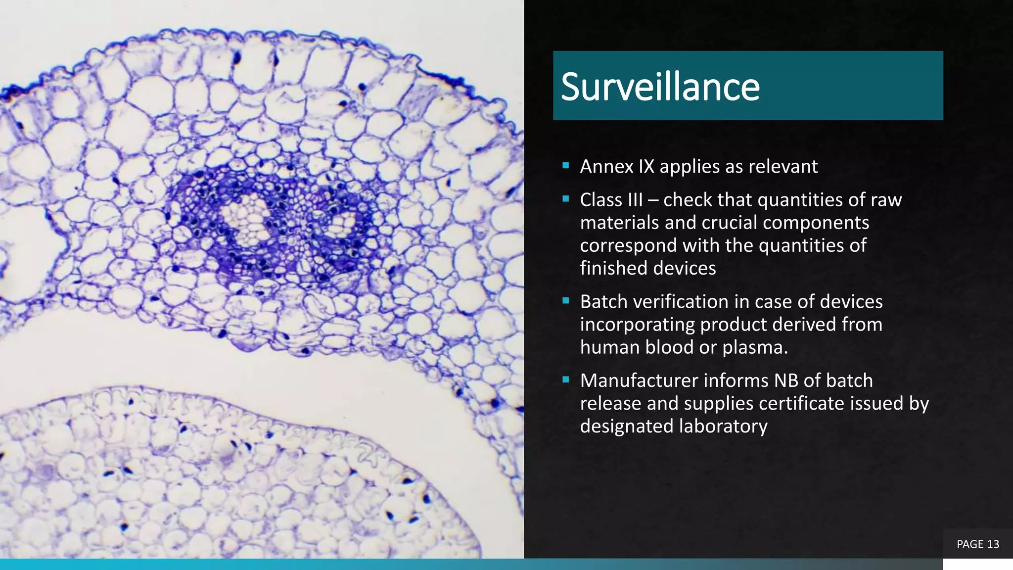 Medical Devices Regulation (MDR) 2017/745 - Annex XI, Conformity ...