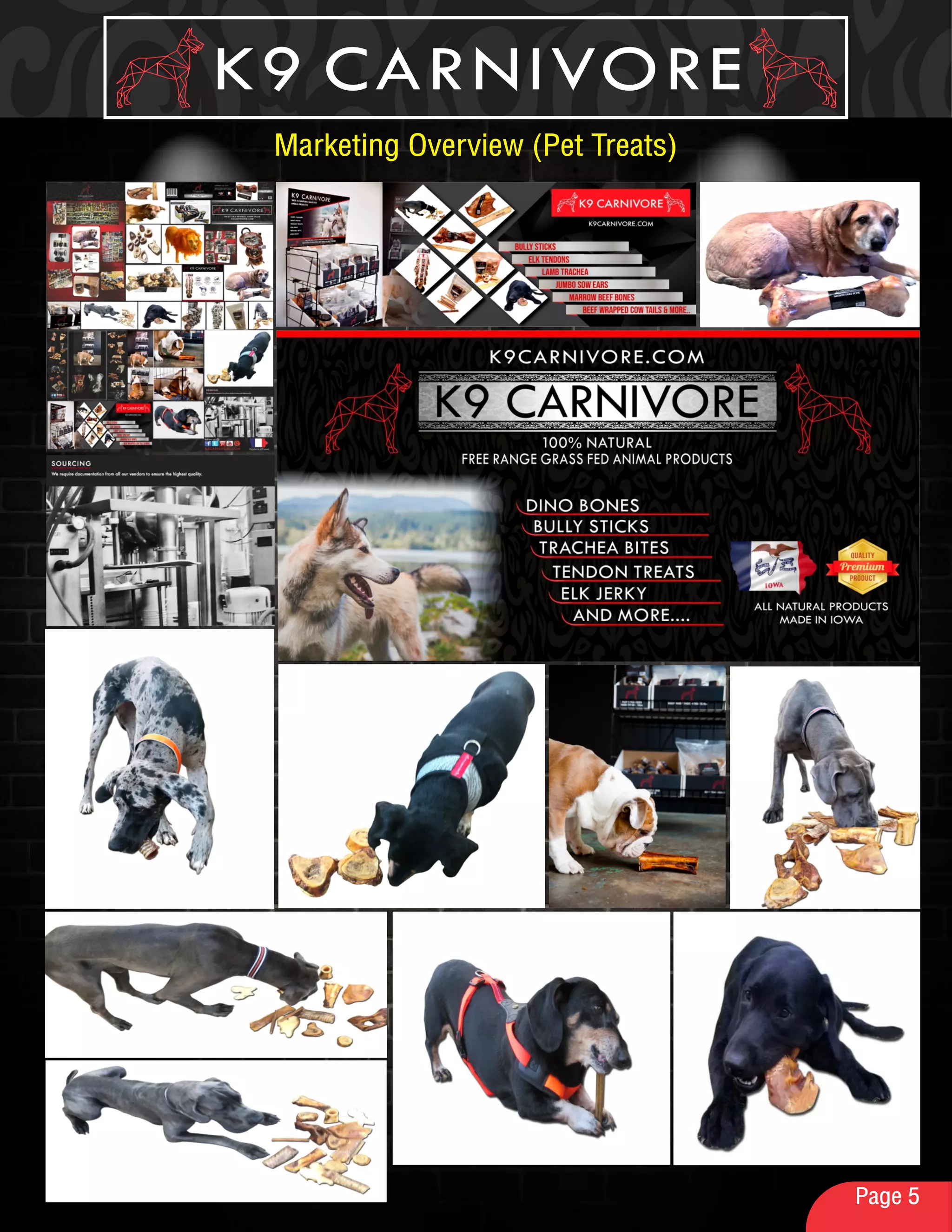 2020 K9 Carnivore product catalog pdf | PDF
