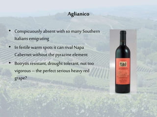 A Brief History of Italian Grapes in California | PPTX | Alcoholic ...