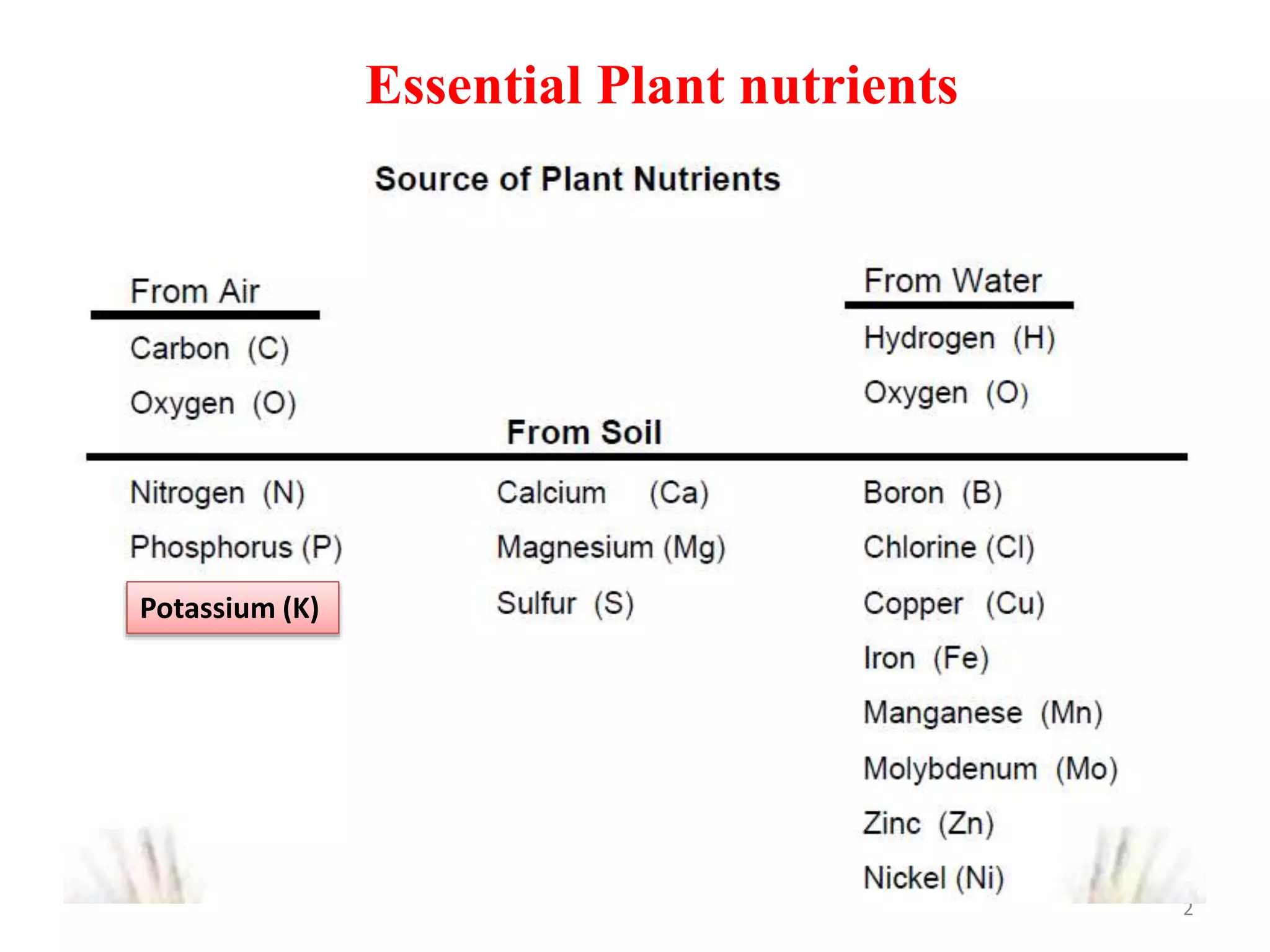 Physiology of potassium in crop production | PPT