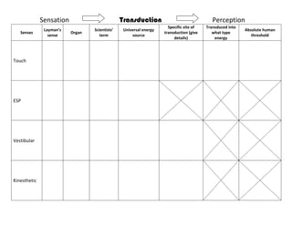 2020_sensation_graphic_organizer.pdf | Science