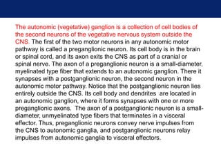 The parasympathetic nervous system | PPT