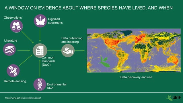 2021-01-27--biodiversity-informatics-gbif-(52slides) | PPT
