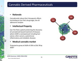 Can-Fite BioPharma - Investor Presentation April 2021 | PPT