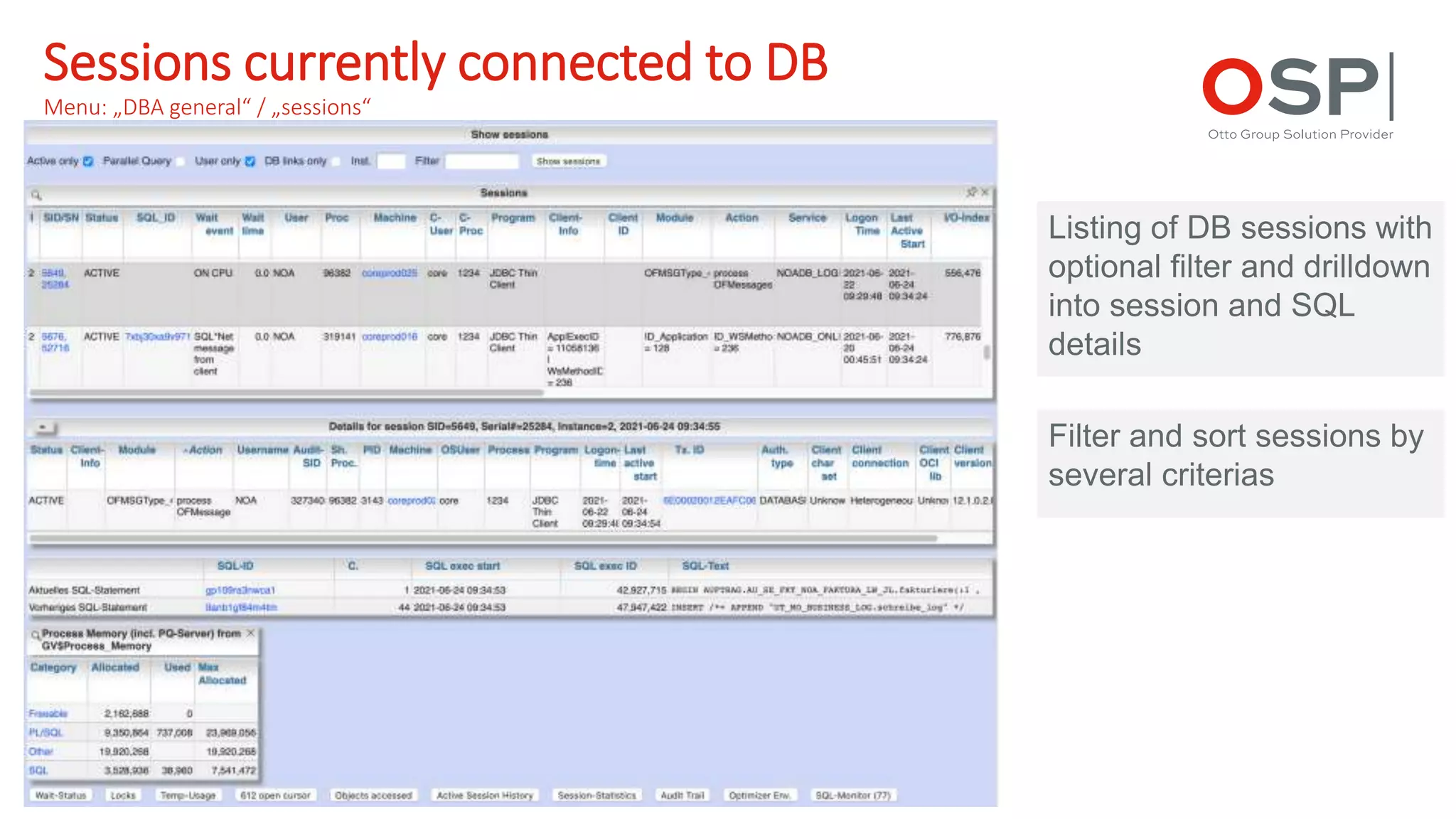 Oracle-DB: Performance Analysis with Panorama | PPTX