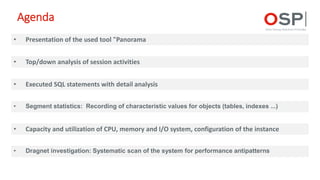 Oracle-DB: Performance Analysis with Panorama | PPTX