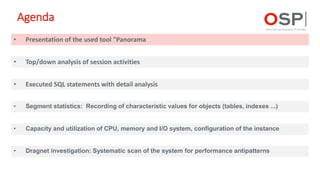 Oracle-DB: Performance Analysis with Panorama | PPTX