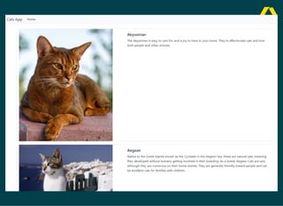 entwickler.de Go Day: Go Web Development 101 | PPT